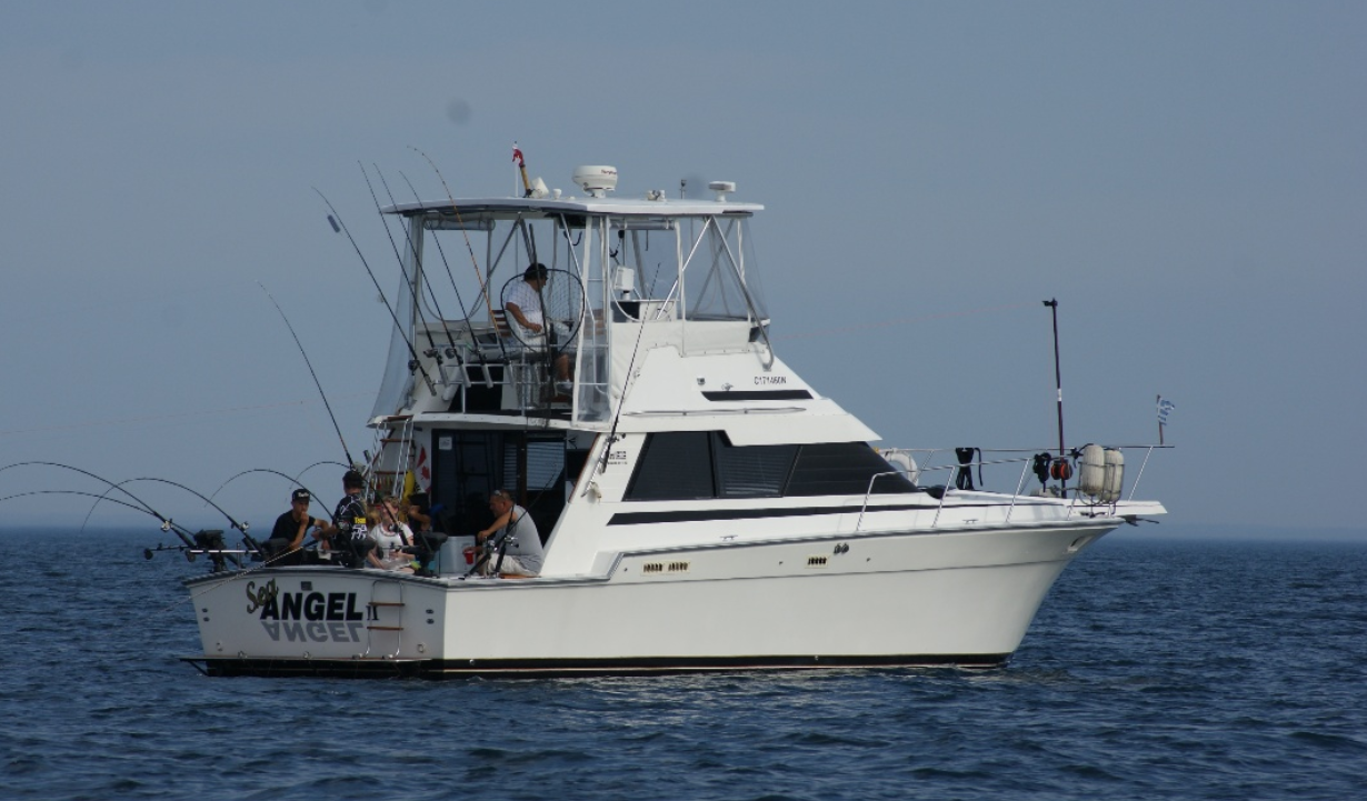 Sea Angel Charters - Visit Mississauga