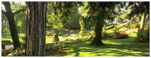 COOKSVILLE CREEK TRAIL - Visit Mississauga