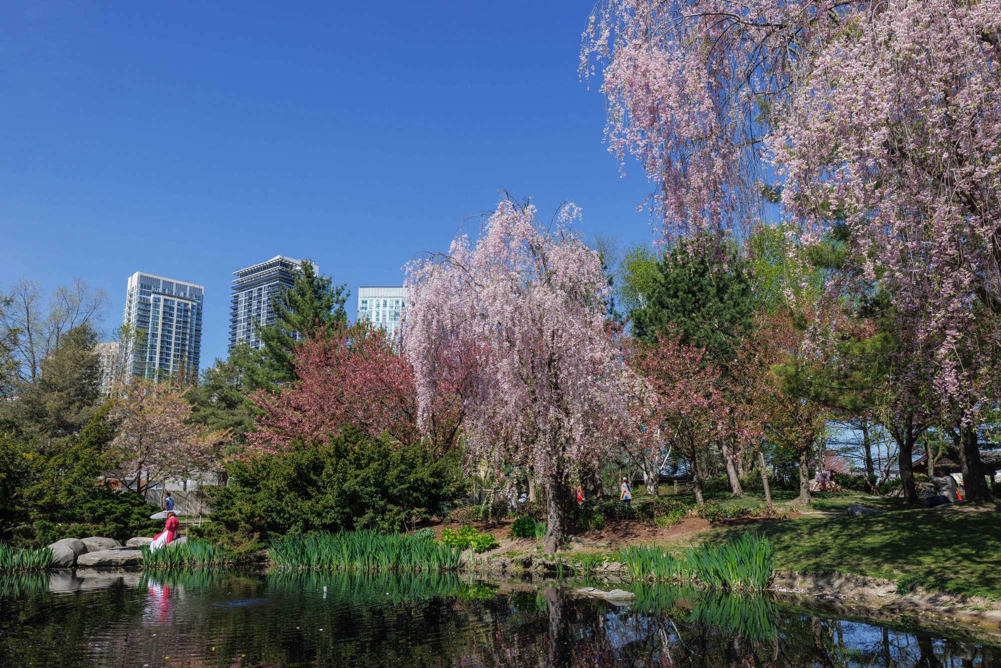 10 Scenic Sauga Spots - Visit Mississauga