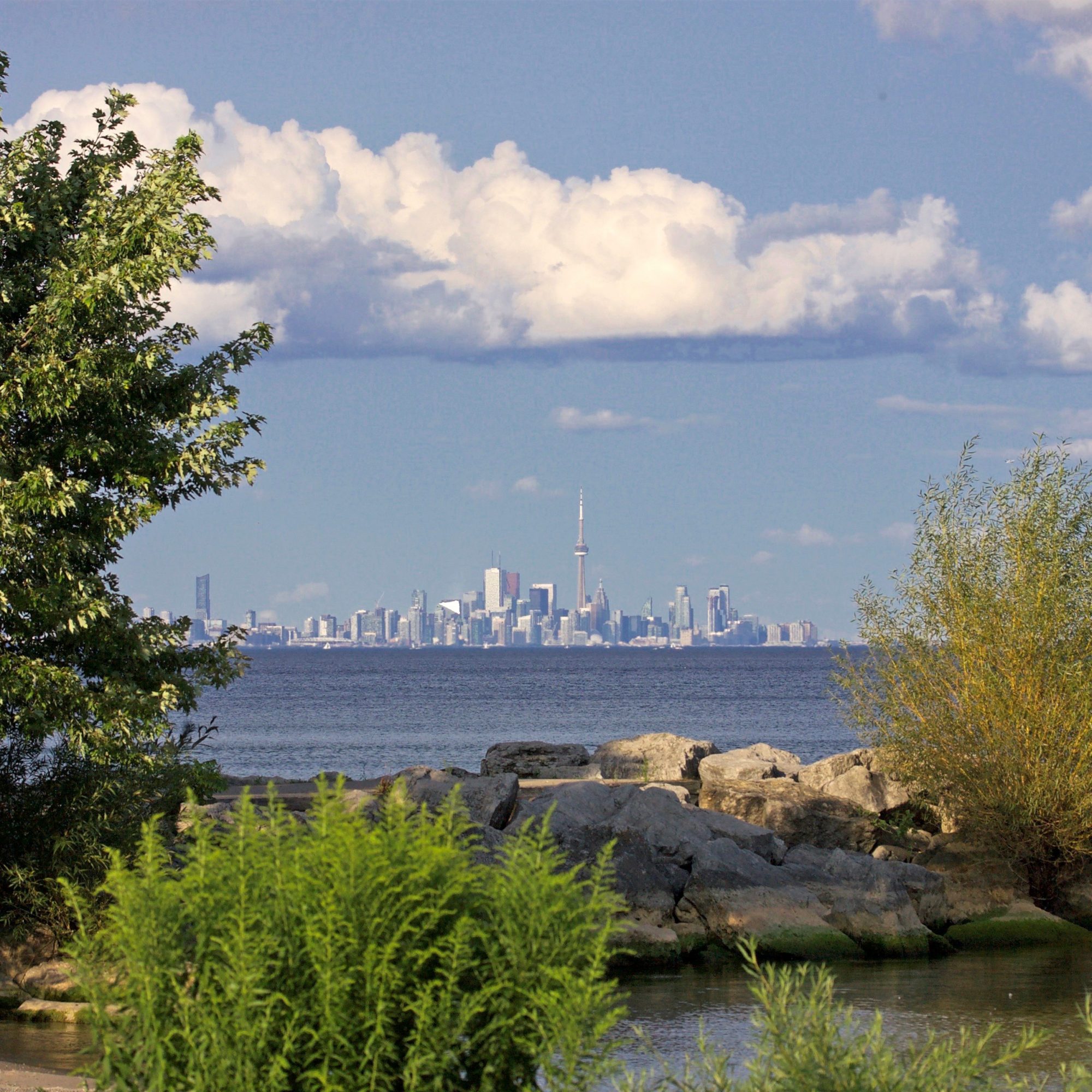 Mississauga's Sweetest Spots - Visit Mississauga